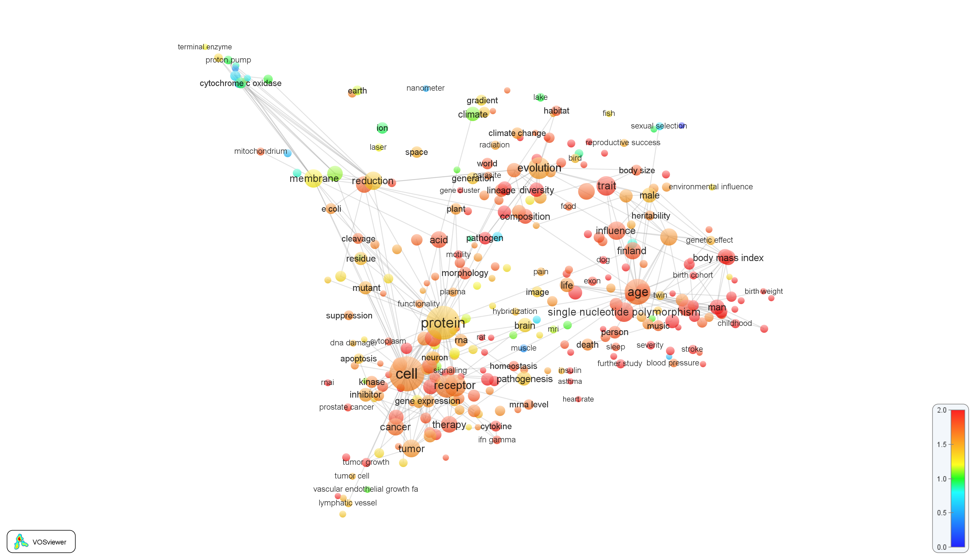 UH VOSviewer maps: RA13