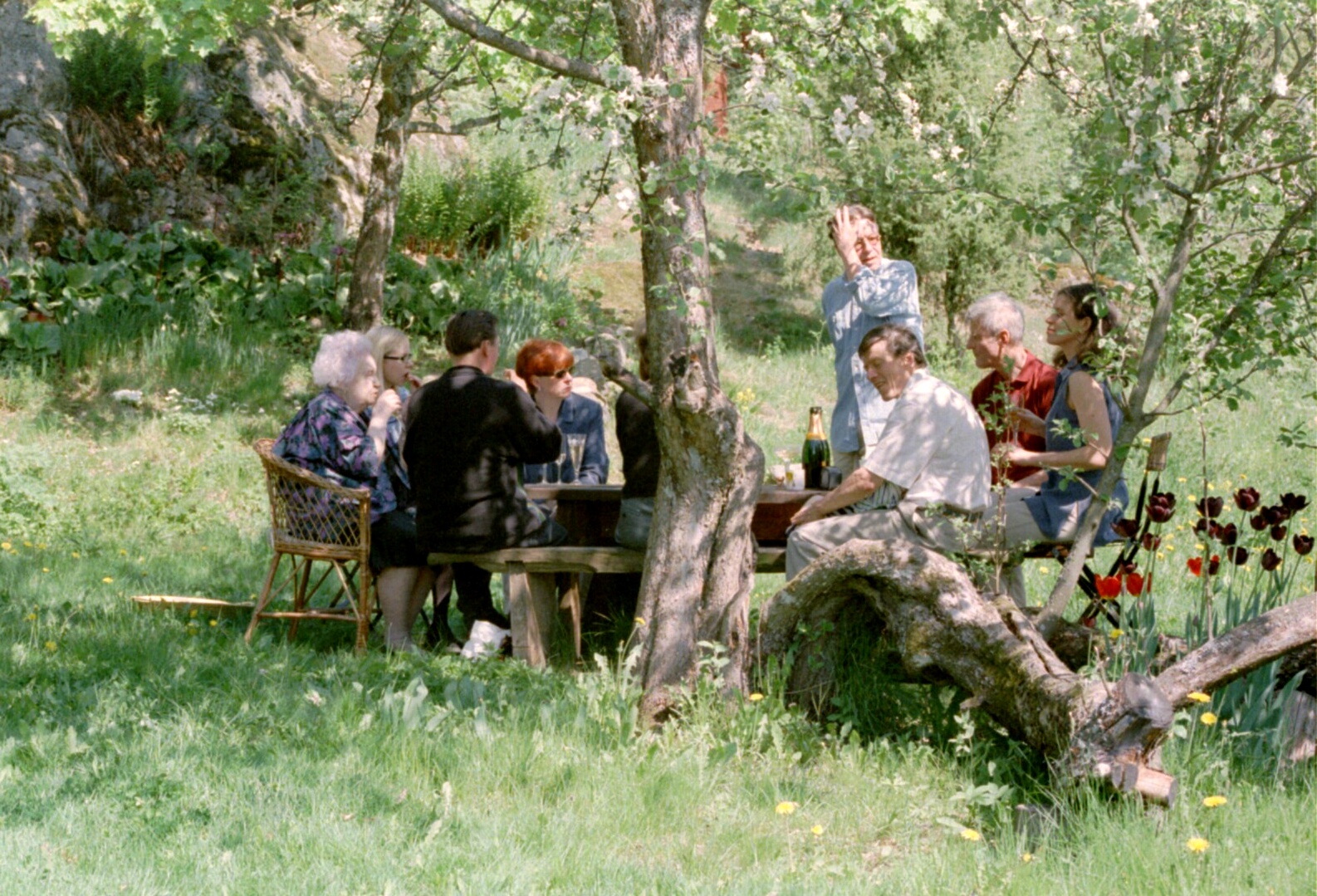 J P Roos photographs